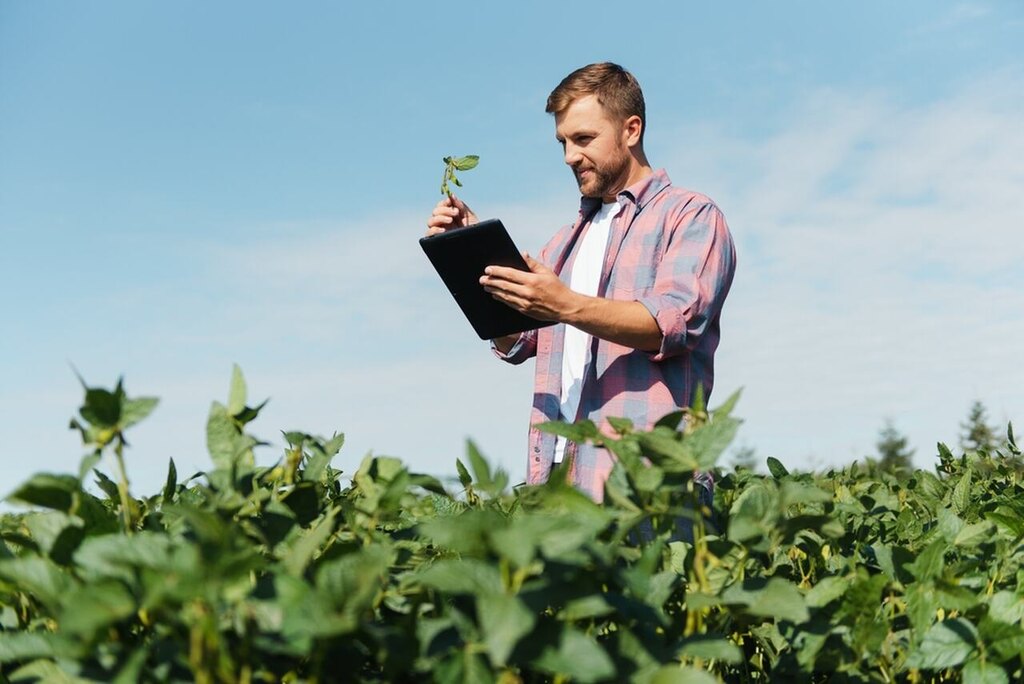 Guia sobre empresa rural: definição, funcionamento e gestão